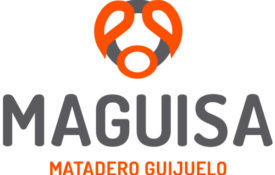 Encuesta Plan de Formación MAGUISA – Grupo Data